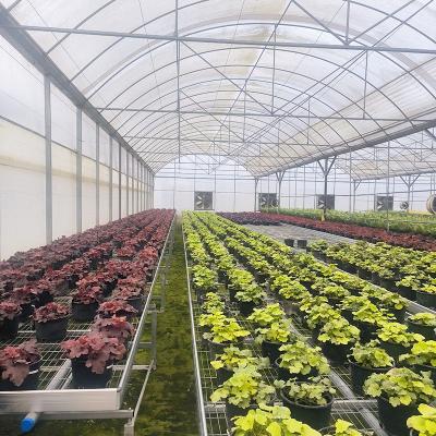 China Large Poly Tunnel Agricultural Multi-span PE Film Flower Custom Greenhouse for sale