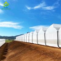 China Film Covered Multi-span Tomato Greenhouse with Sawtooth Top Ventilation and Irrigation System for sale