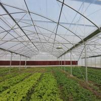China Durable Aluminum Alloy Skeleton Tropical Poly Tunnel Film Sawtooth Greenhouse for sale
