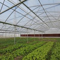 China Durable Aluminum Alloy Skeleton Tropical Poly Tunnel Film Sawtooth Greenhouse for sale