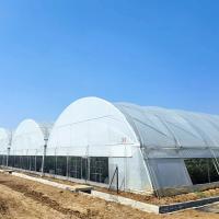 China High Quality Aluminum Alloy Multi-span Poly Tunnel Plastic Shed Greenhouse Tent for sale