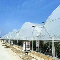 China High Quality Aluminum Alloy Multi-span Poly Tunnel Plastic Shed Greenhouse Tent for sale