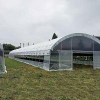 China Custom Blackout Light Deprivation Greenhouse with Automated Shading System for Mushroom for sale