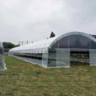 China Custom Blackout Light Deprivation Greenhouse with Automated Shading System for Mushroom for sale