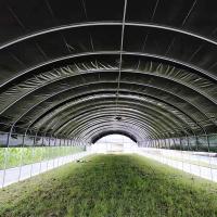 China Custom Blackout Light Deprivation Greenhouse with Automated Shading System for Mushroom for sale