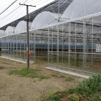China Horticultural Poly Tunnel Film Multi-span Agricultural Greenhouse With Shading System for sale