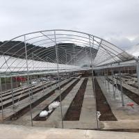 China Black White Film Tropical Poly Tunnel Multi-span Seedling Blackout Greenhouse for sale