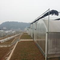 China Film Covered Durable Agricultural Tunnel Greenhouse with Optional Cooling System for sale