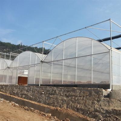 China Film Covered Durable Agricultural Tunnel Greenhouse with Optional Cooling System for sale