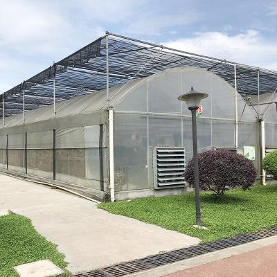 China Stable Structure Industrial Plastic PE Film Multi-span Agricultural Flower House Poly Tunnel Greenhouse for sale