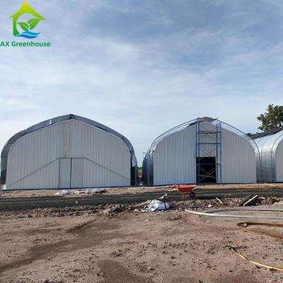 China Customized Agricultural Seeding Light Deprivation Blackout Single-span Film Greenhouse Tent for Commercial Farming for sale