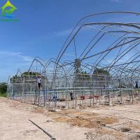 China Customized Agricultural Seeding Light Deprivation Blackout Single-span Film Greenhouse Tent for Commercial Farming for sale