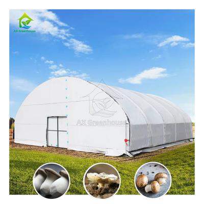 China Fully Blackout Single-span 10x30m Agricultural Light Deprivation Greenhouse for Commercial Vegetables for sale