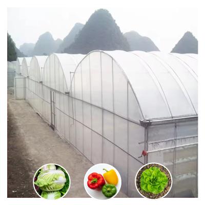 China Hot Sale Customized Poly Tunnel Multi-span UV Resistant Film Greenhouses for Tomato for sale