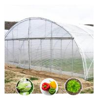 China High Quality Economy Single Span Plastic Film Grow Tent Vegetable Greenhouse for sale