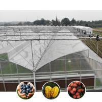 China Poly Plastic Film Tunnel Multi-span Agricultural Vegetable Growing Greenhouse for sale