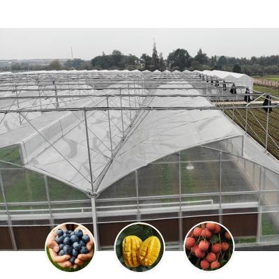 China Tropical Climate Custom Size Poly Tunnel Plastic Film Agricultural Sawtooth Greenhouse for sale