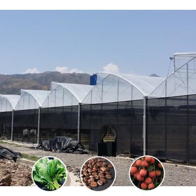 China Plastic UV Film Poly Tunnel Agricultural Sawtooth Multi-span Custom Greenhouse for Sale for sale