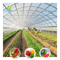 China Economical Low Cost Plastic Film Single-span Poly Tunnel Galvanized Greenhouse Tent for sale