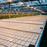China Hot Selling Hydroponic Abs Trays Ebb And Flood Greenhouse Rolling Benches Grow Table for sale
