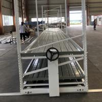 China Double Layers Seedbed Ebb And Flow Greenhouse Rolling Bench Grow Tables for sale