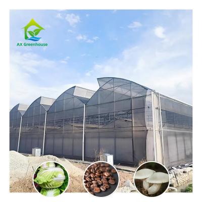 China Durable Polycarbonate Construction for Extreme Weather Resistance in Light Deprivation Greenhouse for sale