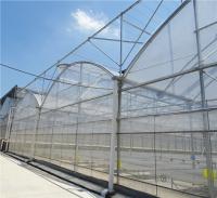 China Modern Farming Agricultural Poly Tunnel Plastic Film Tomato Greenhouses for sale
