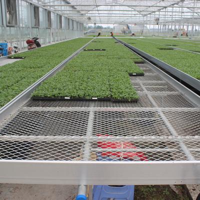 China Heavy Duty Ventilated Wire Mesh Commercial Greenhouses Tables for Plant Seedling Raising for sale