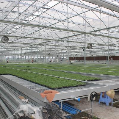 China Lightweight Versatile Greenhouse Tables Expandable for Growing Various Plant Types Rust Resistant for sale