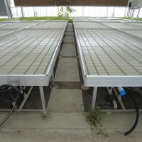 China Adjustable Height Ebb Flow Hydroponics Greenhouse Rolling Bench Grow Table for Seeding for sale