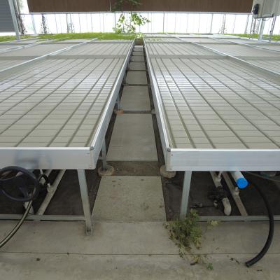 China Adjustable Height Ebb Flow Hydroponics Greenhouse Rolling Bench Grow Table for Seeding for sale