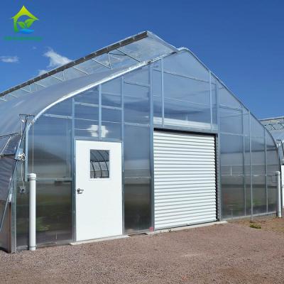 China Custom Size PC Sheet Agricultural Wind Resistant Polycarbonate Tomato Greenhouse for sale
