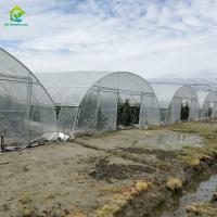 China Low Cost Plastic PE Film UV Resistant Single-span Vegetable Fruit Shed Greenhouse Tent for sale