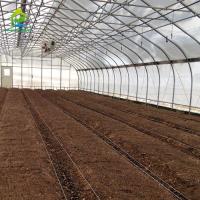 China Single-span Polytunnel Plastic Film Galvanized Steel Skeleton Agricultural Tomato Greenhouse for sale