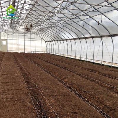China Single-span Polytunnel Plastic Film Galvanized Steel Skeleton Agricultural Tomato Greenhouse for sale