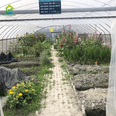 China Factory Price Custom Plastic Film Tunnel Tomato Grow Tent Greenhouse For Agriculture for sale