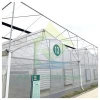 China Poly Plastic Film Tunnel Multi-span Agricultural Vegetable Growing Greenhouse for sale