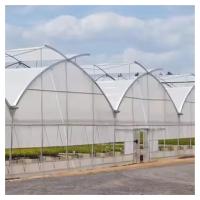 China Durable Custom Size Poly Tunnel Multi-span Film Agricultural Greenhouse for Flower for sale