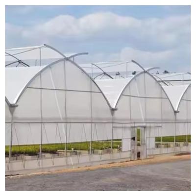 China Durable Custom Size Poly Tunnel Multi-span Film Agricultural Greenhouse for Flower for sale