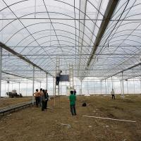 China Reliable Poly Tunnel Greenhouse Anti Rust Steel Frame Long Lasting Film for Tomato for sale