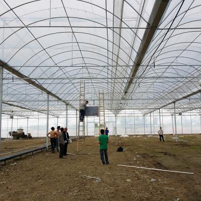 China Reliable Poly Tunnel Greenhouse Anti Rust Steel Frame Long Lasting Film for Tomato for sale