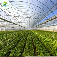 China Large multi-span film greenhouse for growing leafy vegetables,Tomatoes, cucumbers, peppers, eggplants, strawberries, watermelons for sale
