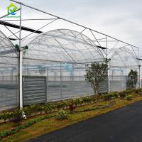 China High-strength steel frame multi-span greenhouse | Safe and reliable structure for sale