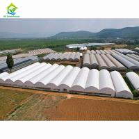 China Large-scale agricultural multi-span greenhouses | Professional greenhouse factory for bulk customization for sale