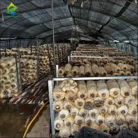 China Single-span film blackout Light Deprivation greenhouse for growing mushrooms for sale