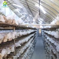 China Single-span film blackout Light Deprivation greenhouse for growing mushrooms for sale