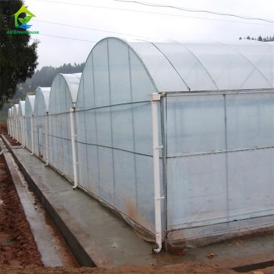 China Factory manufacturer Plastic film arch galvanized steel pipe multi-span agricultural greenhouse for sale