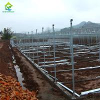 China Factory manufacturer Plastic film arch galvanized steel pipe multi-span agricultural greenhouse for sale