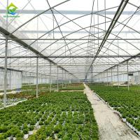 China Large Space Stable Mulit-span PE Film Seedling and Flower Planting Greenhouse for sale