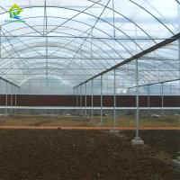 China Large Space Stable Mulit-span PE Film Seedling and Flower Planting Greenhouse for sale